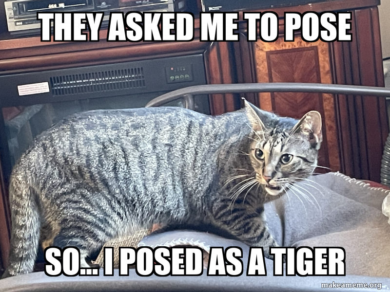 They asked me to pose So… I posed as a tiger Meme Generator