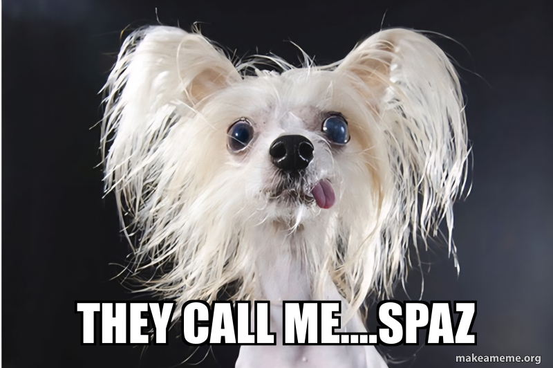 They call me....SPAZ Meme Generator