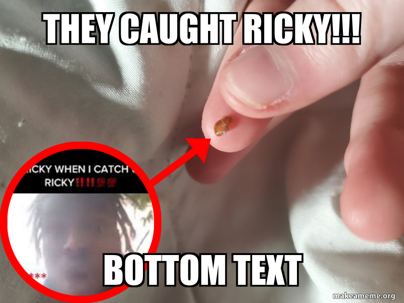 THEY CAUGHT RICKY!!! BOTTOM TEXT Meme Generator