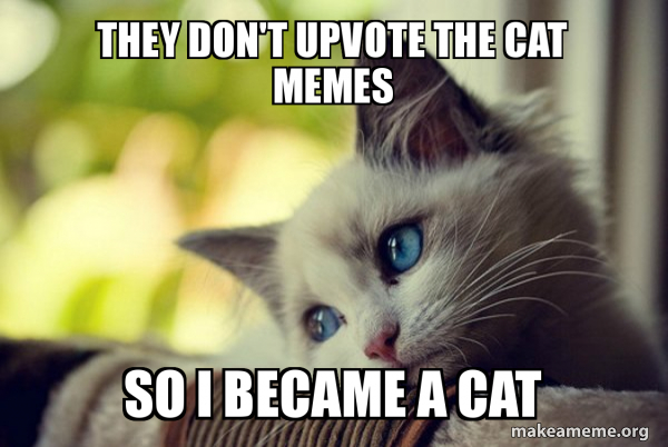 They don't upvote the cat memes So I became a cat - First World Cat ...