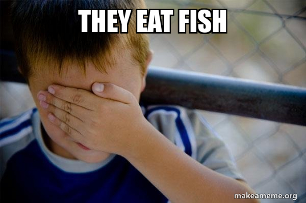 they eat fish - Confession Kid Meme Generator