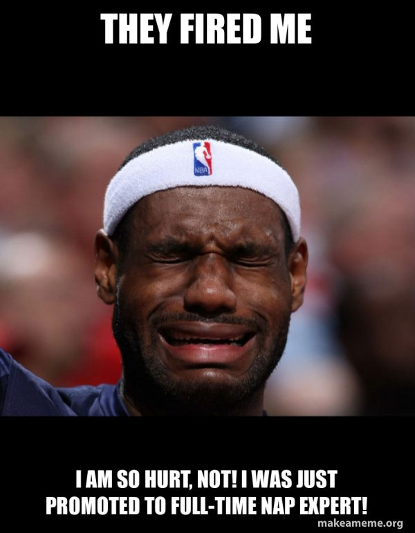 They fired me I am so hurt, not! I was just promoted to full-time nap ...