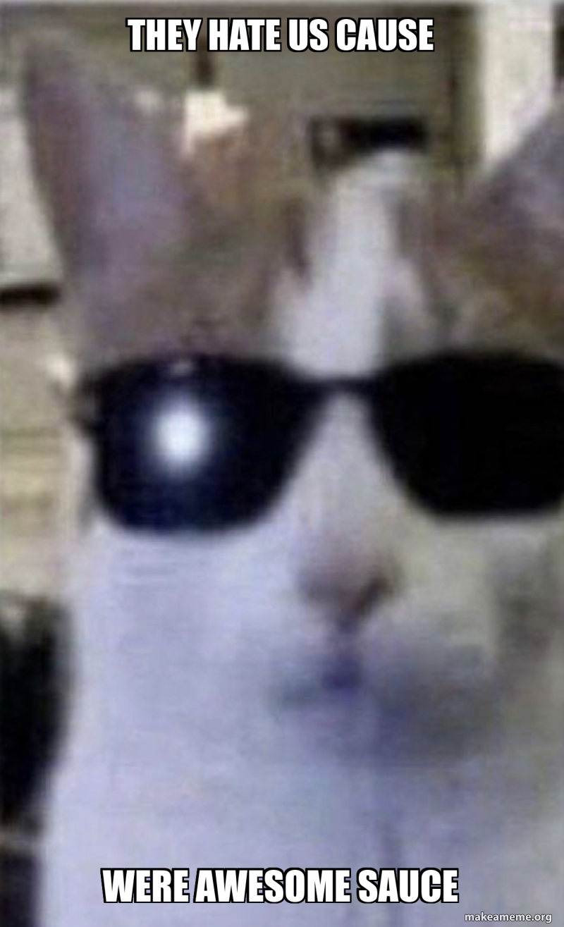 they hate us cause were awesome sauce Meme Generator