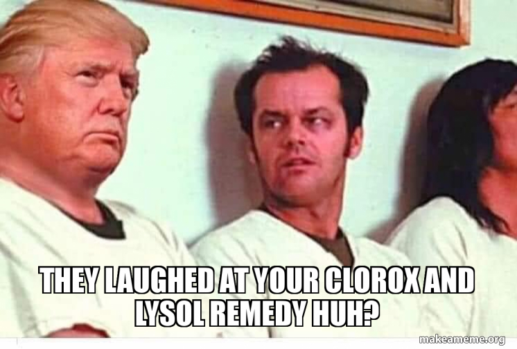 They laughed at your clorox and lysol remedy huh? Meme Generator