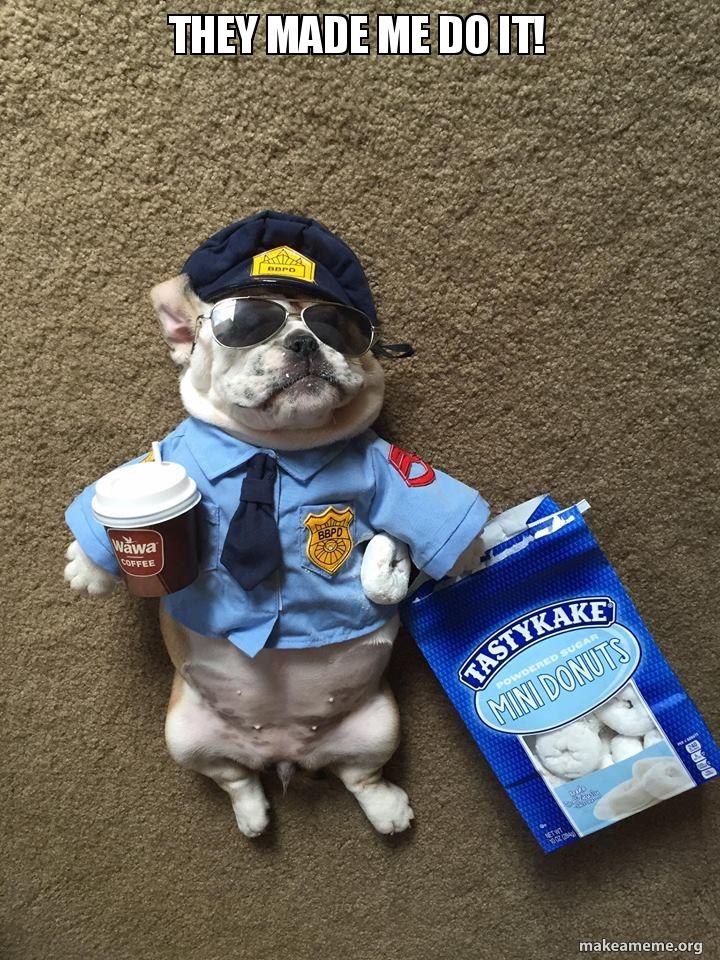 they made me do it! Meme Generator