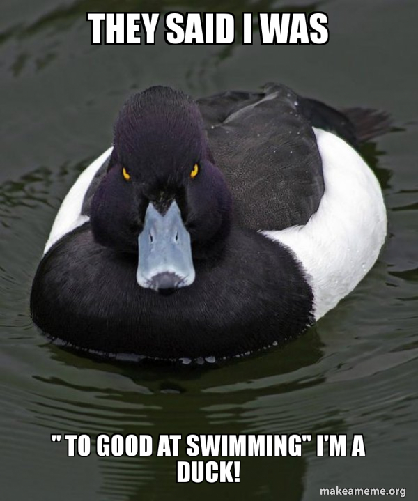 they Said I Was " to good At Swimming" I'm A duck! - Revenge Duck ...