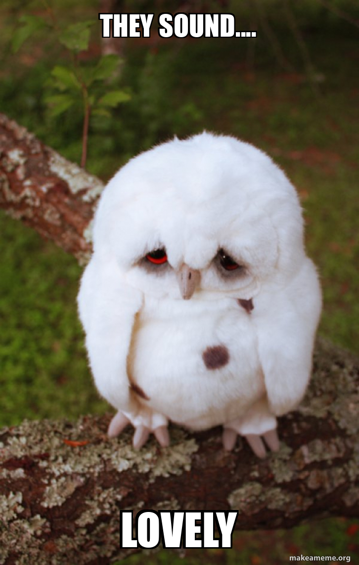 they sound.... lovely - Sad Owl Meme Generator