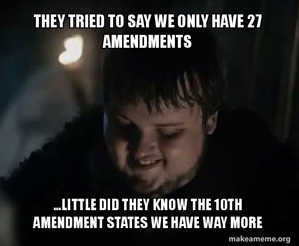 They tried to say we only have 27 amendments ...little did they know ...