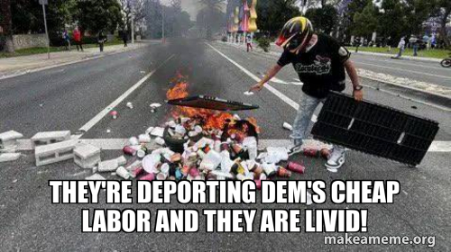 They're deporting dem's cheap labor and they are livid! Meme Generator