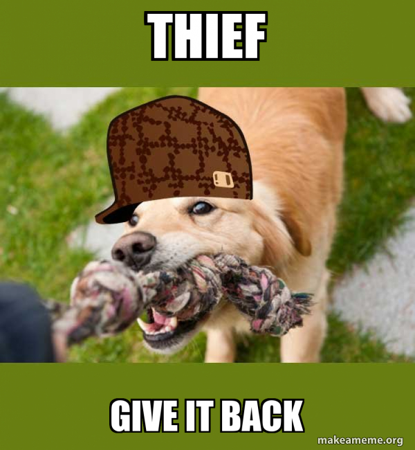 Thief Give it back - Scumbag dog Meme Generator