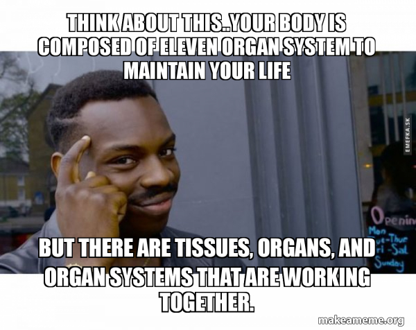 Organist Memes