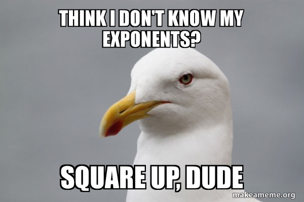 Think I don't know my exponents? square up, dude - Stuff That Didn't ...