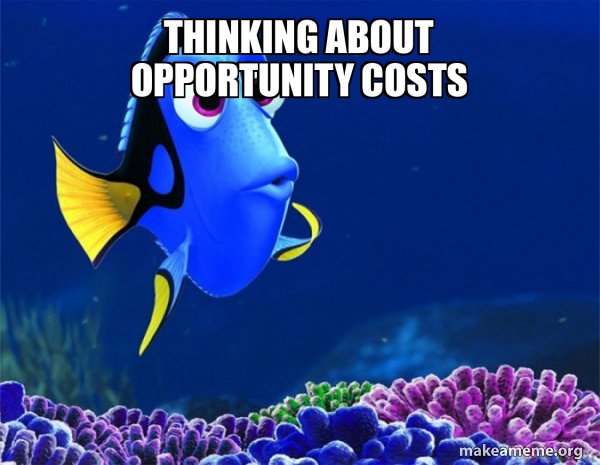 Thinking about opportunity costs - Dory from Nemo (5 second memory ...