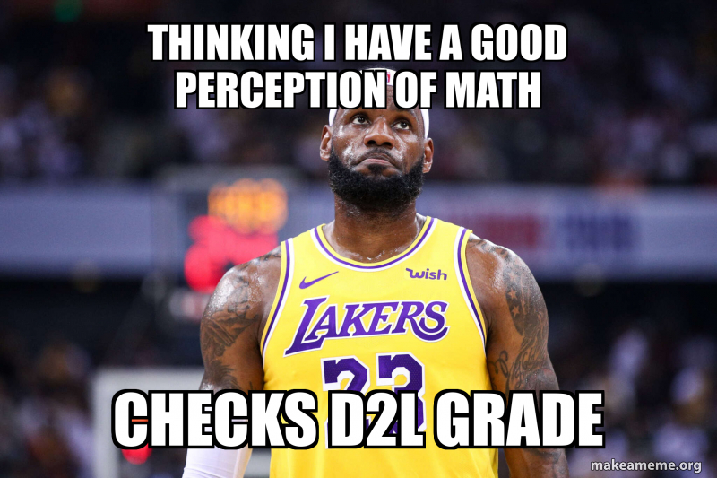 Thinking I have a good perception of Math Checks D2L grade Meme Generator