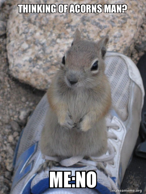 thinking of acorns man? me:no - Standover Squirrel Meme Generator