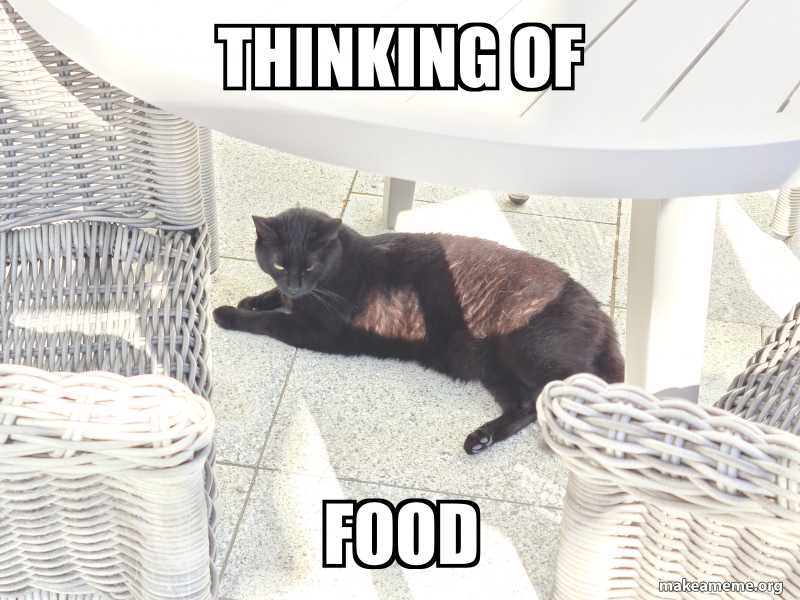 Thinking of Food Meme Generator