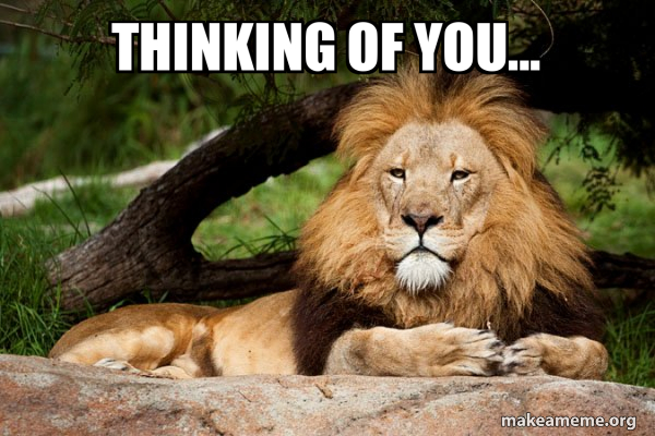 Thinking of you... - Contemplative Lion Meme Generator