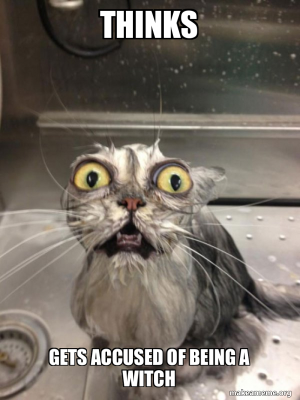 thinks gets accused of being a witch - Cat bath Meme Generator