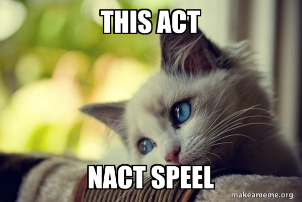 This act Nact speel - First World Cat Problems Meme Generator