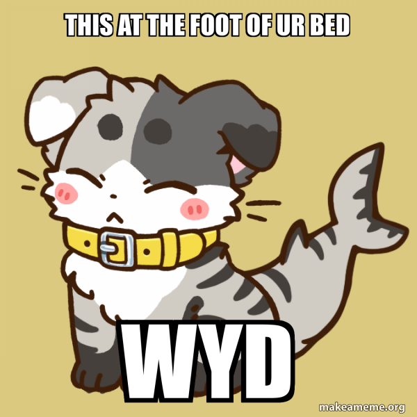 this at the foot of ur bed wyd Meme Generator