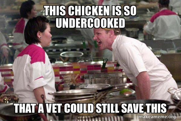 This chicken is so undercooked that a vet could still save this ...