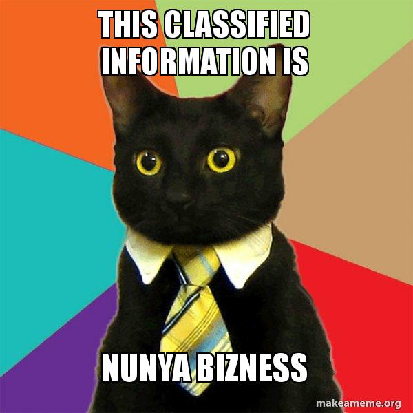 this classified information is NUNYA BIZNESS - Business Cat Meme Generator