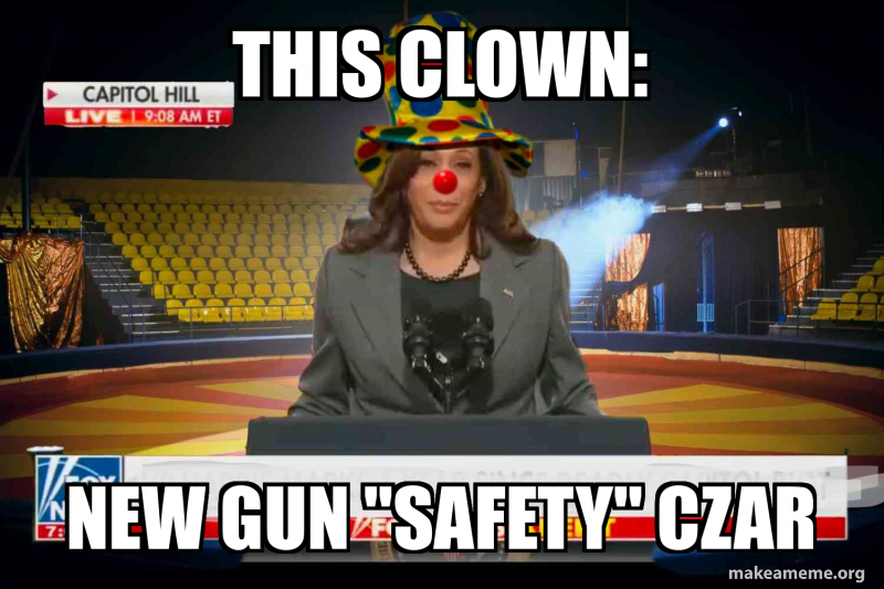 tHIS cLOWN: nEW gun "sAFETY" cZAR Meme Generator