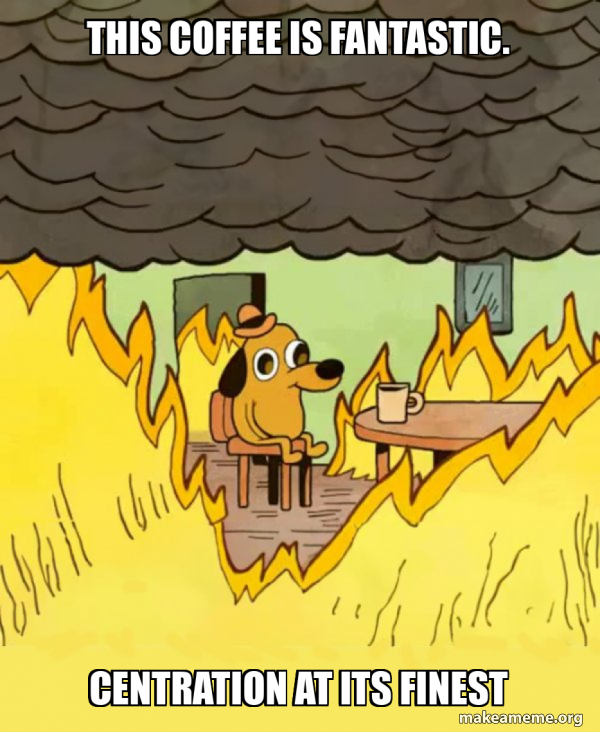 This coffee is fantastic. Centration at its finest - This Is Fine Meme ...