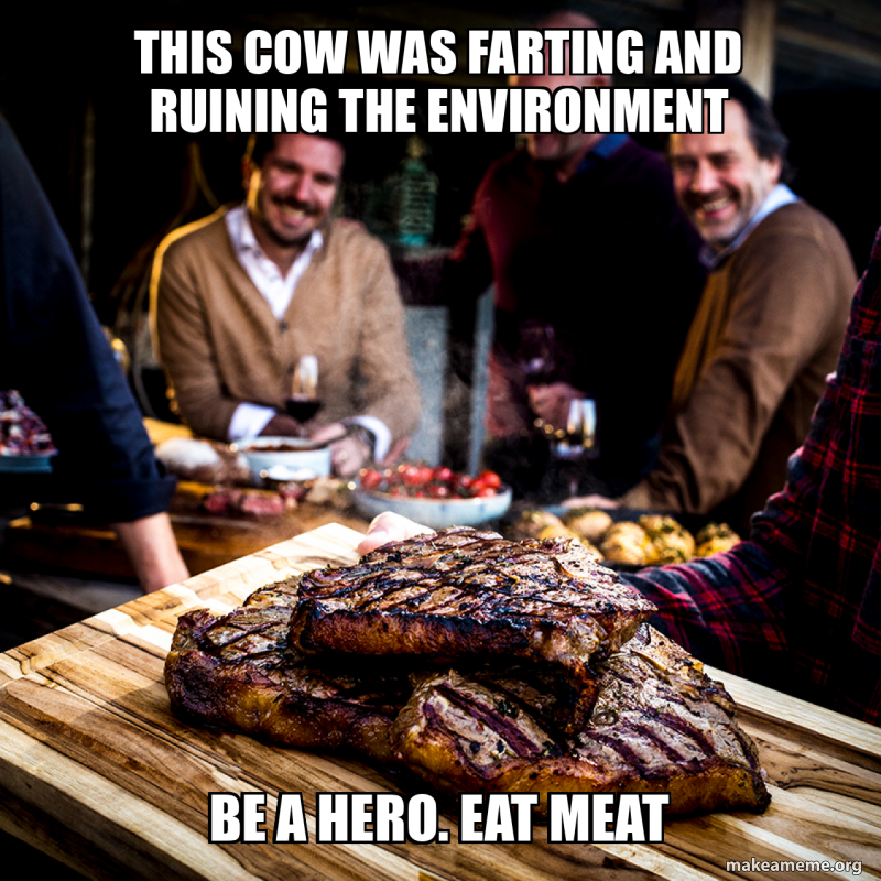 this cow was farting and ruining the environment be a hero. eat meat ...