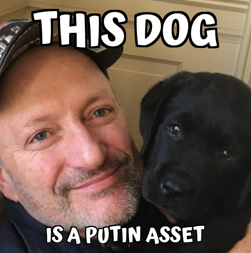 This dog Is a putin asset Meme Generator