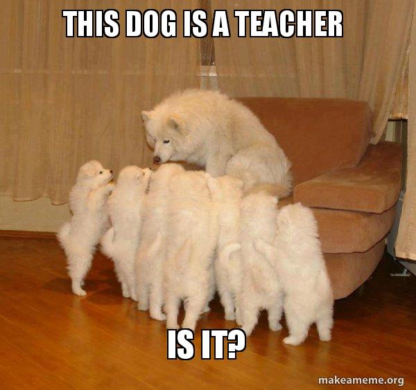 Dog Professor Memes