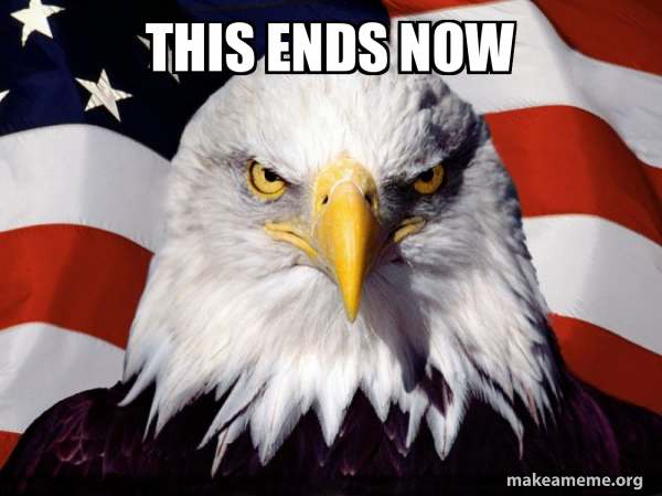 this ends NOW - American Pride Eagle Meme Generator