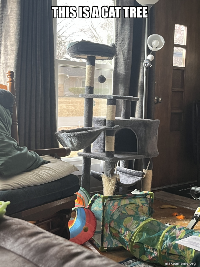 This is a cat tree Meme Generator
