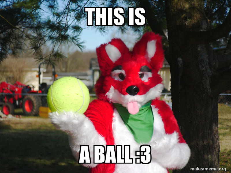 This is A ball :3 - Furry Dog with Ball Meme Meme Generator
