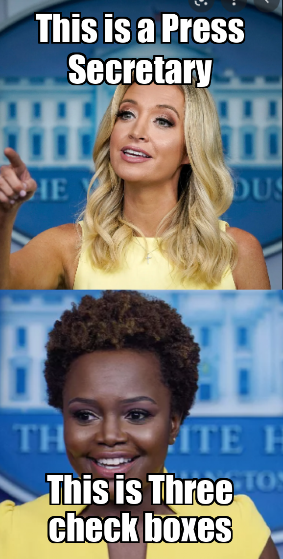 This is a Press Secretary This is Three check boxes Meme Generator