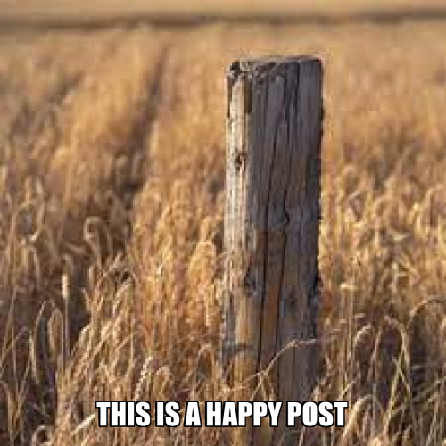this is a happy post Meme Generator