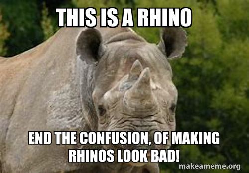 this is a rhino end the confusion, of making rhinos look bad! Meme ...