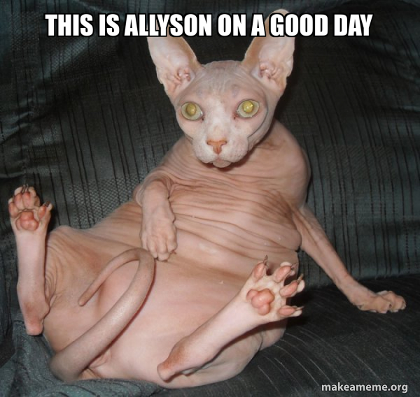 this is allyson on a good day - Hairless Cat Meme Generator
