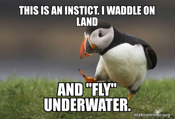 This IS an instict. i waddle on land and "fly" underwater. - Unpopular ...