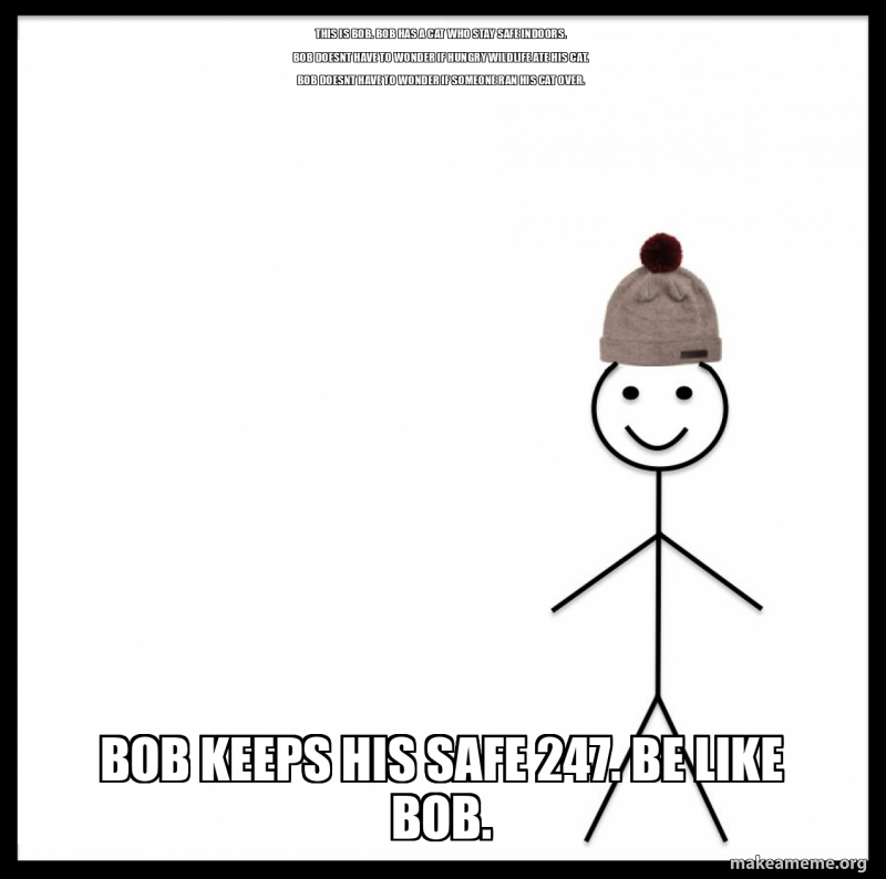 This is bob. Bob has a CaT who stay safe Indoors. Bob doesnt have to ...