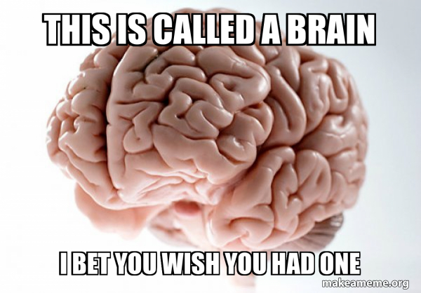 this is called a brain i bet you wish you had one - Scumbag Brain Meme ...