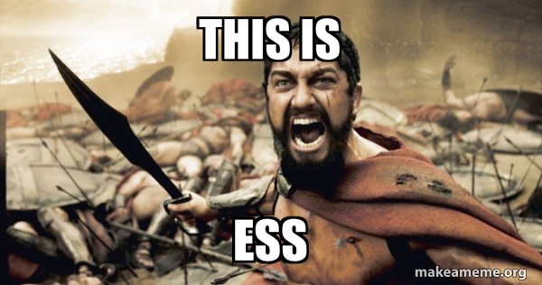THIS IS ESS - The 300 Meme Generator