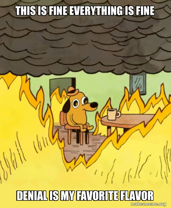 This is fine everything is fine denial is my favorite flavor - This Is ...
