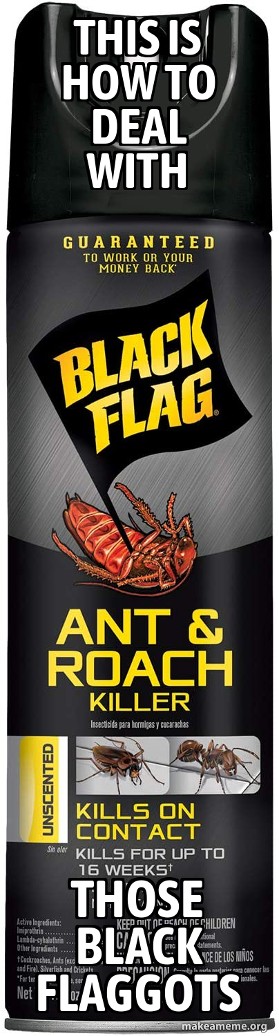 this is how to deal with those black flaggots Meme Generator