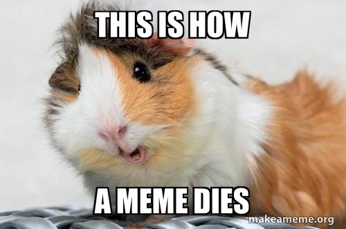 this is how a meme dies - talking guinea pig Meme Generator