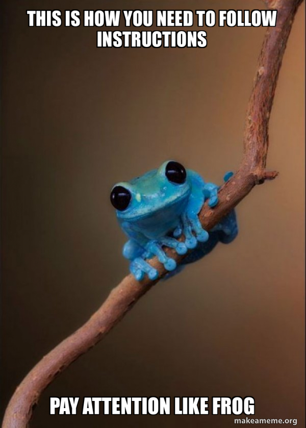 This Is how you need to follow instructions Pay attention like frog ...