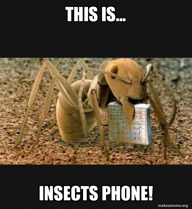 This is... insects phone! - Babylonokia Meme Generator