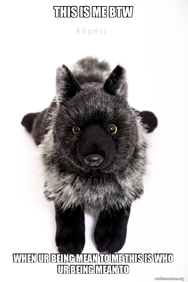 this is me btw when ur being mean to me this is who ur being mean to ...