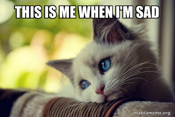 this is me when i'm sad - First World Cat Problems Meme Generator