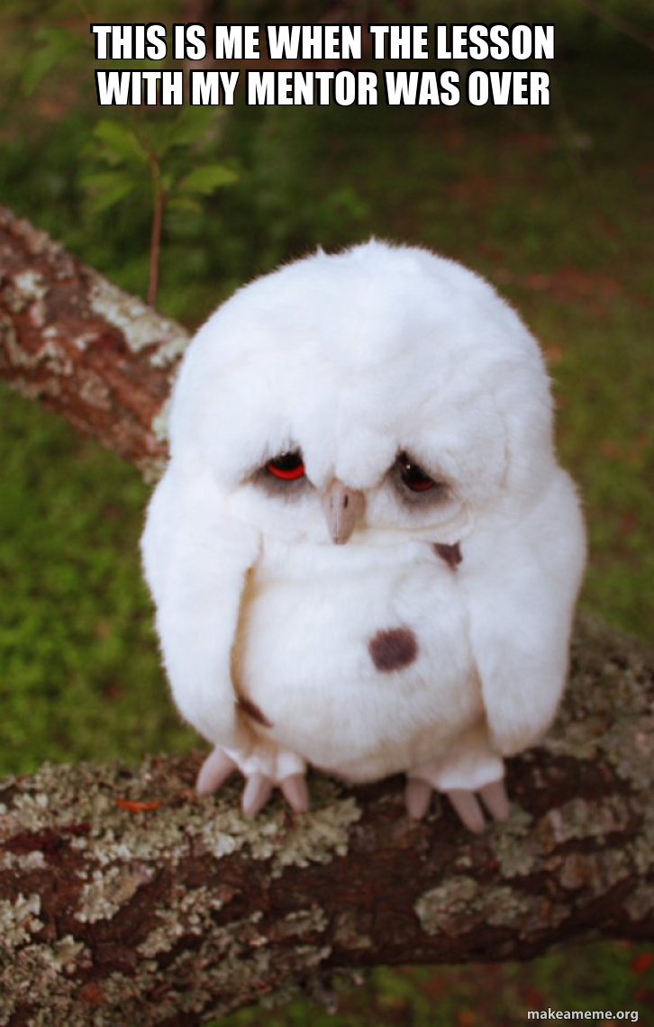 This is me when the lesson with my mentor was over - Sad Owl Meme Generator
